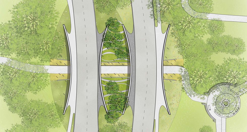 Montreal's Darwin Bridge Is Made With Recycled Glass Equivalent To ...