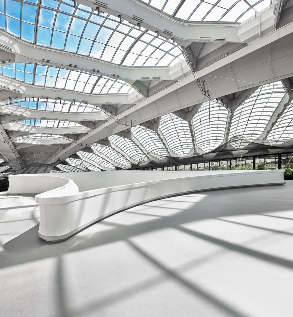 Here's What The Renovated Montreal Biodome Looks Like On The Inside ...