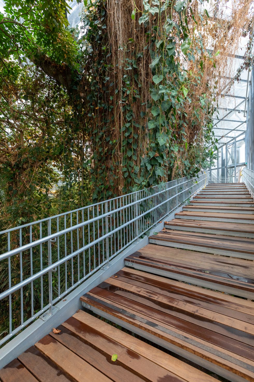 Here's What The Renovated Montreal Biodome Looks Like On The Inside ...