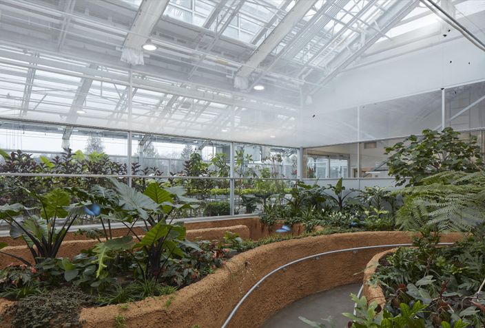 Montreal Insectarium