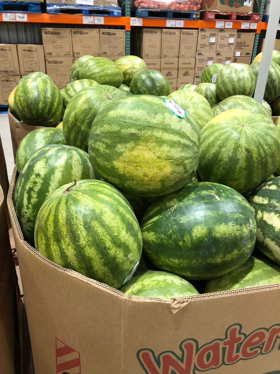 9 Of The Wildest Costco Mega Items You Can Get At The Special New ...